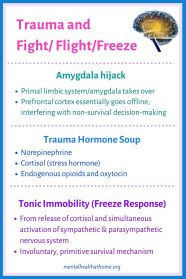 The Neurobiology Of Traumatic Fight Flight Freeze MH H